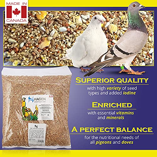 Hagen Pigeon & Dove Seed, Nutritionally Complete Bird Food 25 Pound (Pack of 1)