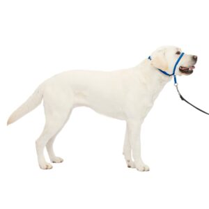 petsafe gentle leader no-pull dog headcollar - the ultimate solution to pulling - redirects your dog's pulling for easier walks - helps you regain control - large, royal blue