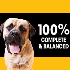 PEDIGREE For Big Dogs Adult Complete Nutrition Large Breed Dry Dog Food Roasted Chicken, Rice & Vegetable Flavor Dog Kibble, 36.4 lb. Bag