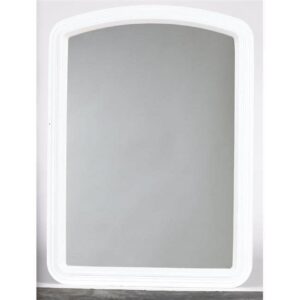 renin us 200410 16x22 mold frame mirror