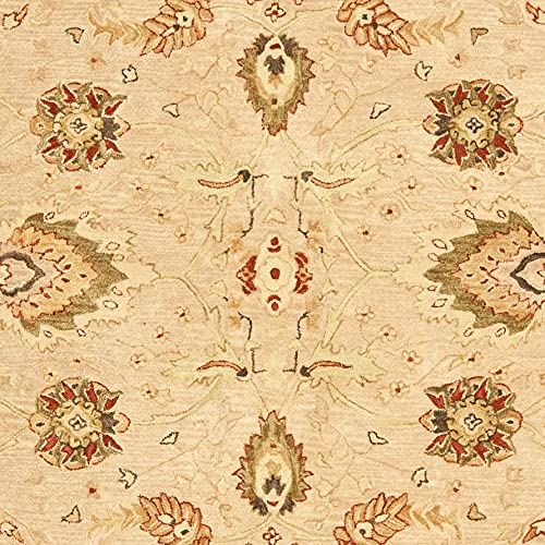 SAFAVIEH Anatolia Collection Area Rug - 8' x 10', Beige & Beige, Handmade Traditional Oriental Wool, Ideal for High Traffic Areas in Living Room, Bedroom (AN512A)