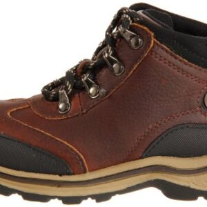 Timberland Regular Kid Hiking Boot (Toddler/Little Kid/Big Kid),Brown Smooth,4 M US Big Kid