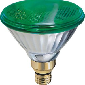 GE Lighting 13474 85-Watt Outdoor PAR38 Incandescent Light Bulb, Green