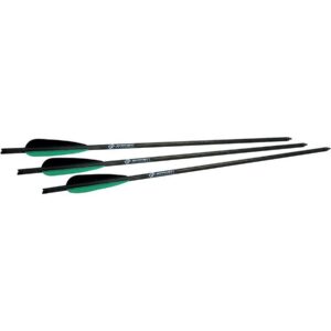 barnett outdoors carbon crossbow arrows 5-pack, lightweight hunting bolts with half-moon nock and field points, 22"