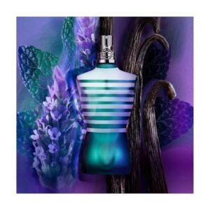 Le Male by Jean Paul Gaultier for Men - 2.5 Ounce EDT Spray