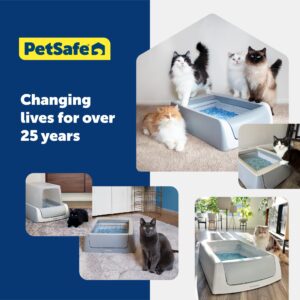 PetSafe ScoopFree Premium Self-Cleaning Cat Litter Box Tray Refills - Disposable - Non-Clumping Crystal Litter - 6-Pack