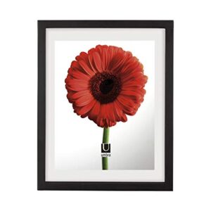 Umbra 316280-040 Floating Frame for Displaying Documents, Diploma, Certificate, Photo or Artwork, 11 x 14 8-1/2 x 11, Black