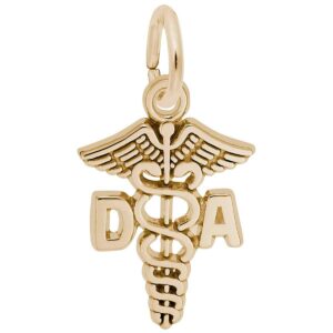 rembrandt charms dental assistant charm, gold plated silver