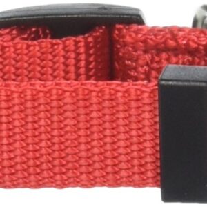 Petmate Adjustable Collar, 5/8 by 10 by 16-Inch, Red