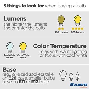 Bulbrite 712331 Light Bulb, 1 Count (Pack of 1), Half Mirror