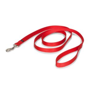 petsafe nylon dog leash – strong, durable, traditional style leash with easy to use bolt snap – 3/4" x 6', red