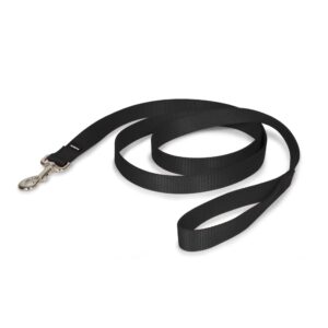 petsafe nylon dog leash - strong, durable, traditional style leash with easy to use bolt snap - 1 in. x 6 ft., black