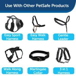 PetSafe Nylon Dog Leash - Strong, Durable, Traditional Style Leash with Easy to Use Bolt Snap - 1 in. x 6 ft., Black