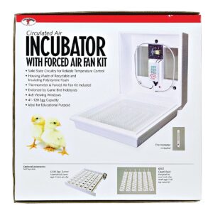 little giant circulated air incubator