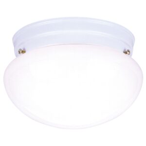 westinghouse 6661100 standard ceiling fixture, two light white