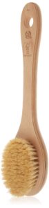 the body shop cactus long handle body brush