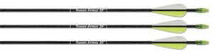 carbon express g0326 thunder express arrow, 26-inch, youth,black