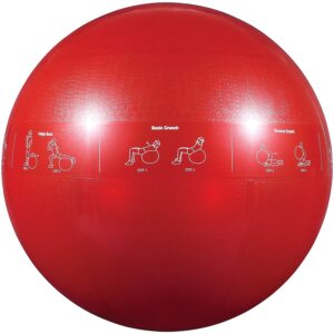 gofit gf65pro gf-65pro professional stability 65 cm ball and brook benten dvd, red