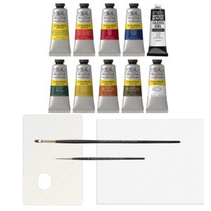 Winsor & Newton Galeria Acrylic Paint, 10 x 60ml (2--oz), Complete 14 Piece Set