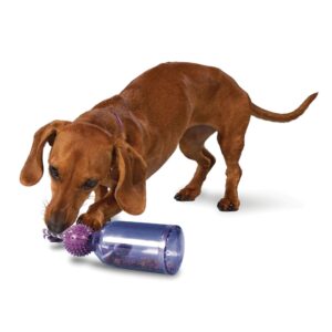 petsafe busy buddy tug-a-jug dog toy – slow feeder and trainer – small