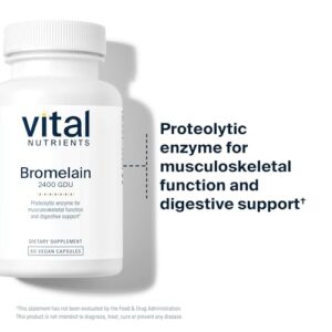 Vital Nutrients Bromelain | Vegan Supplement to Support Digestion and Maintain Healthy Tissue* | Digestive Enzyme from Pineapple with 2400 GDU | Gluten, Dairy and Soy Free | 60 Capsules