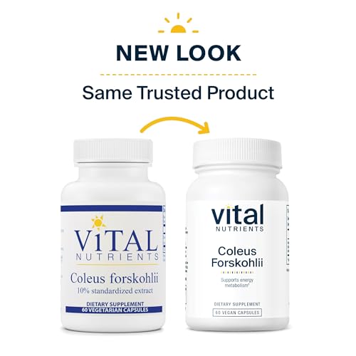 Vital Nutrients - Coleus Forskohlii 10% - Cardiovascular Support - Muscle Relaxation - 60 Vegetarian Capsules per Bottle - 90 mg