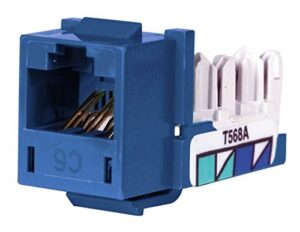 jack, blue, cat6, rj45