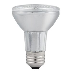 philips 39w par20 metal halide flood bulb