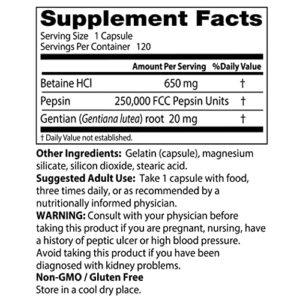 Doctor's Best Betaine HCI Pepsin & Gentian Bitters, Digestive Enzymes for Protein Breakdown & Absorption, Non-GMO, Gluten Free, 120 Caps, Original Version