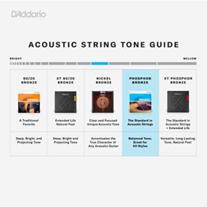 D'Addario Guitar Strings - Phosphor Bronze Acoustic Guitar Strings - EJ16-3D - Rich, Full Tonal Spectrum - For 6 String Guitars - 12-53 Light, 3-Pack