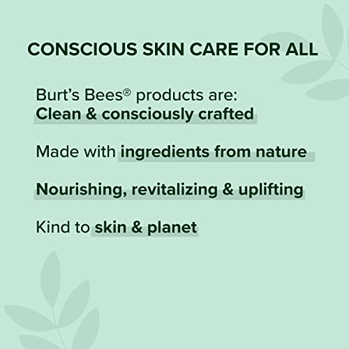 Burt's Bees Deep Cleansing Cream with Soap Bark and Chamomile, 98.9% Natural Origin, 6 Ounces