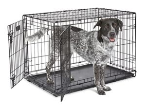 midwest homes for pets newly enhanced double door icrate dog crate, includes leak-proof pan, floor protecting feet, divider panel & new patented features