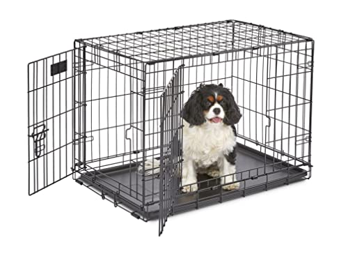 MidWest Homes for Pets Newly Enhanced Double Door iCrate Dog Crate, Includes Leak-Proof Pan, Floor Protecting Feet, Divider Panel & New Patented Features