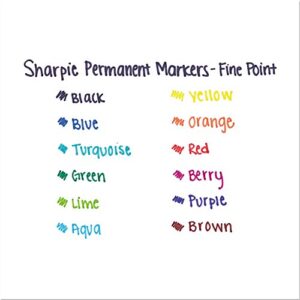 Permanent Marker, Fine Point, Black Ink, Lot of 12