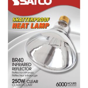 Satco S4885 120V 250 Watt R40 Medium Base Shatterproof Heat Lamp, Clear