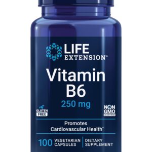 Life Extension Vitamin B6 250 mg – For Cardiovascular & Neurological Health and Kidney & Eye Health - Gluten-Free, Non-GMO – 100 Vegetarian Capsules