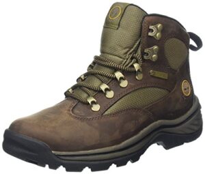 timberland womens chocorua trail with gore-tex® membrane hiking boots, brown, 11 us