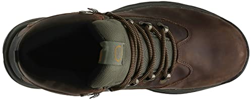 Timberland Men's Chocorua Trail Mid Waterproof Hiking Boot, Brown/Green, 12 D - Medium