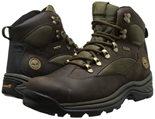 Timberland Men's Chocorua Trail Mid Waterproof Hiking Boot, Brown/Green, 12 D - Medium