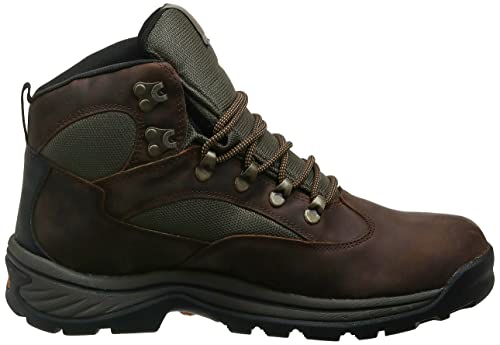 Timberland Men's Chocorua Trail Mid Waterproof Hiking Boot, Brown/Green, 12 D - Medium