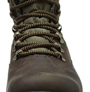 Timberland Men's Chocorua Trail Mid Waterproof Hiking Boot, Brown/Green, 12 D - Medium