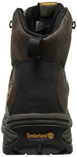 Timberland Men's Chocorua Trail Mid Waterproof Hiking Boot, Brown/Green, 12 D - Medium