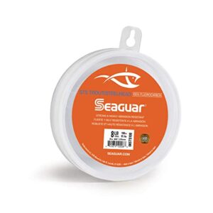 seaguar sts trout/steelhead 100% fluorocarbon fishing line 4lbs, 100yds break strength/length - 04sts100