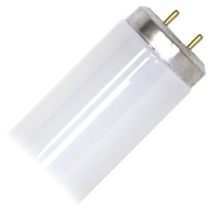 bulb flrcnt 1075lum 24