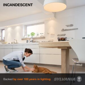 SYLVANIA Incandescent 200W A21 Utility Light Bulb, 3880 Lumens, 2850K, Medium Base, Clear, Soft White - 1 Pack (15476)