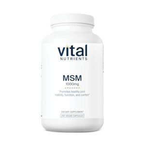 vital nutrients - msm - natural form of organic sulfur - 240 vegetarian capsules per bottle - 1000 mg