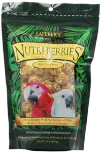 lafeber company tropical fruit nutri-berries for macaws, 10-ounce