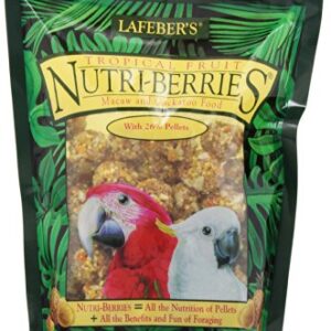 Lafeber Company Tropical Fruit Nutri-Berries For Macaws, 10-Ounce