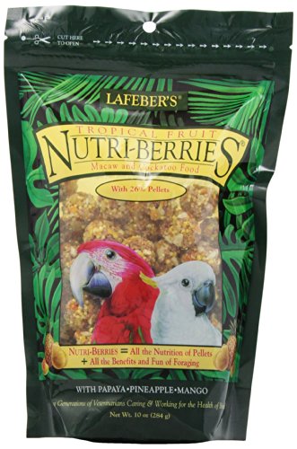 Lafeber Company Tropical Fruit Nutri-Berries For Macaws, 10-Ounce