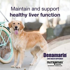 Nutramax Denamarin Liver Health Supplement for Large Dogs - With S-Adenosylmethionine (SAMe) and Silybin, 30Count(Pack of 1)